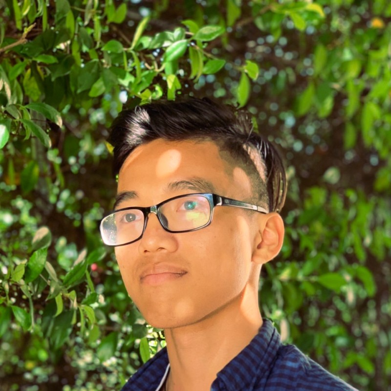Brian Huynh - Software Developer